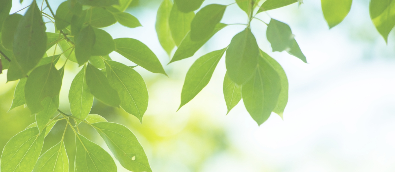 SEC出版 | 社会医療法人 城西医療財団｜長野県松本市を拠点に医療サービス及び福祉サービスを提供しています。